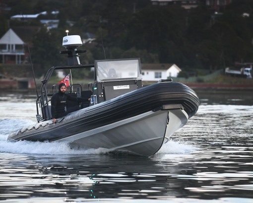 THE SENTINEL 1100 PROJECT UPDATE - PFG